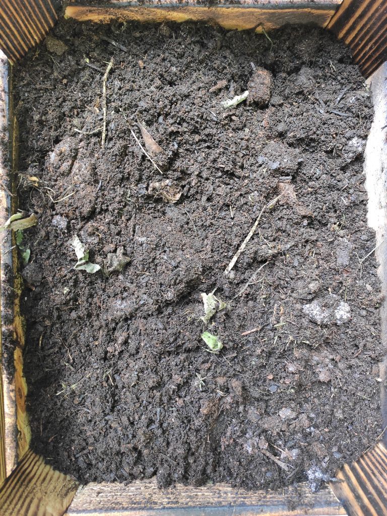 Cama de Jardín Elevada en Vertical | Ideas Perfectas