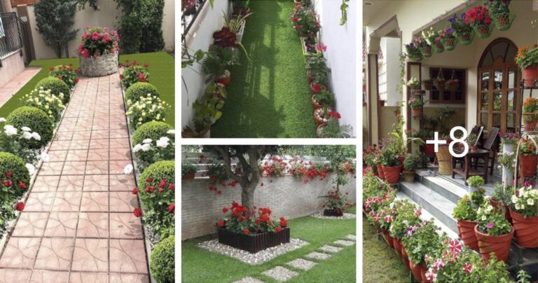 Cómo decorar tu patio con macetas y arbustos | Ideas Perfectas